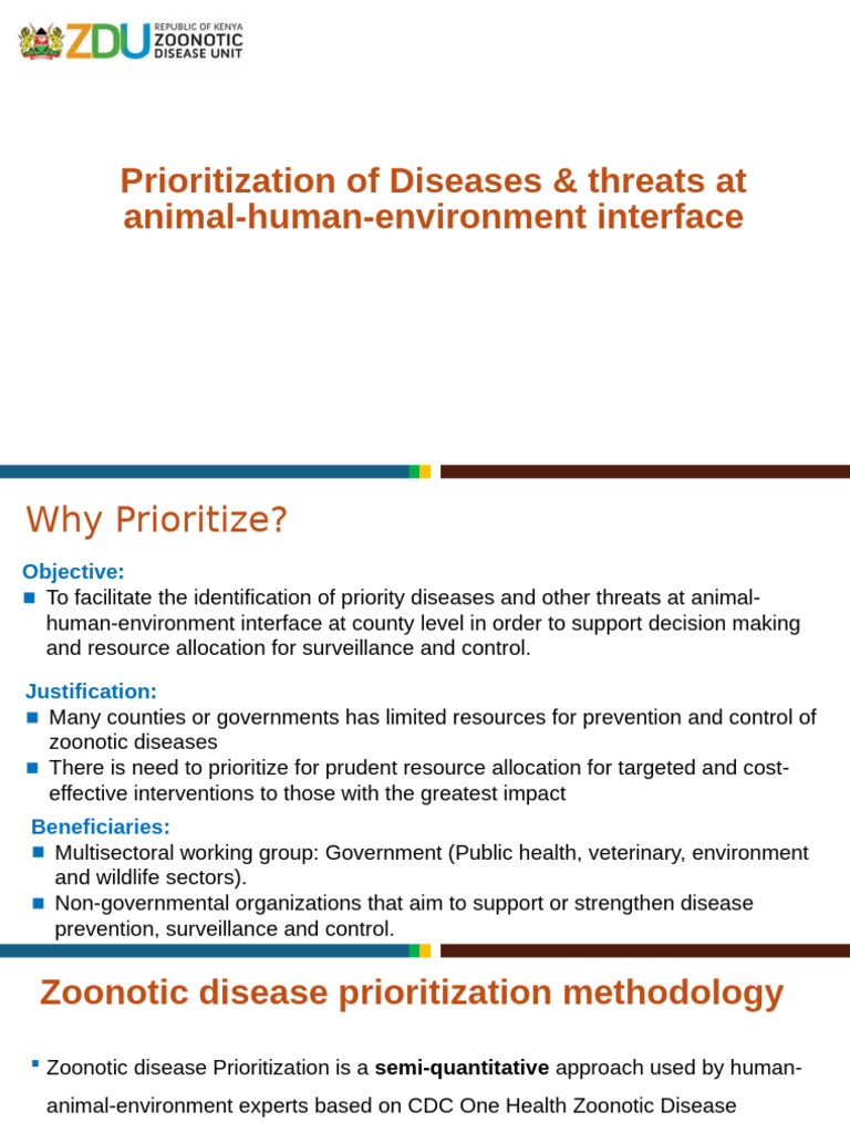 1 Prioritization of Zoonotic Diseases - FSRP | PDF | Epidemics | Public ...
