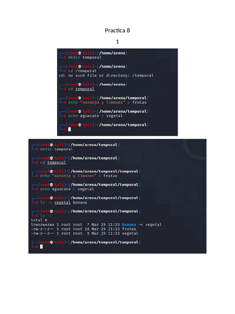 Practica 8 Ccna | PDF