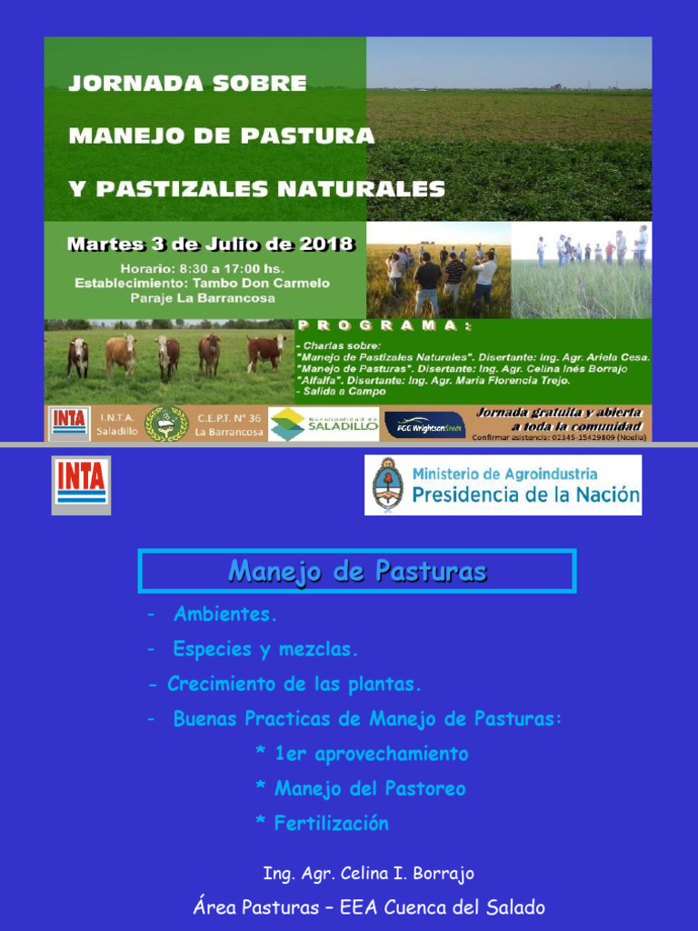 charla_sobre_pasturas_en_saladillo_2018 | PDF | Pasto | Botánica