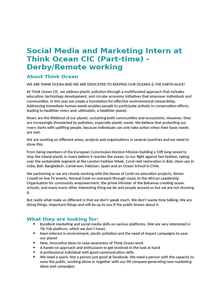 Social Media Officer - Think Ocean | PDF | Social Media | Popular ...