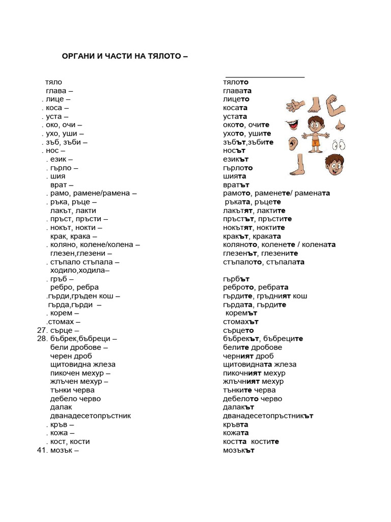 Organs-And-Parts-Of-The-Body Bulgarian | PDF
