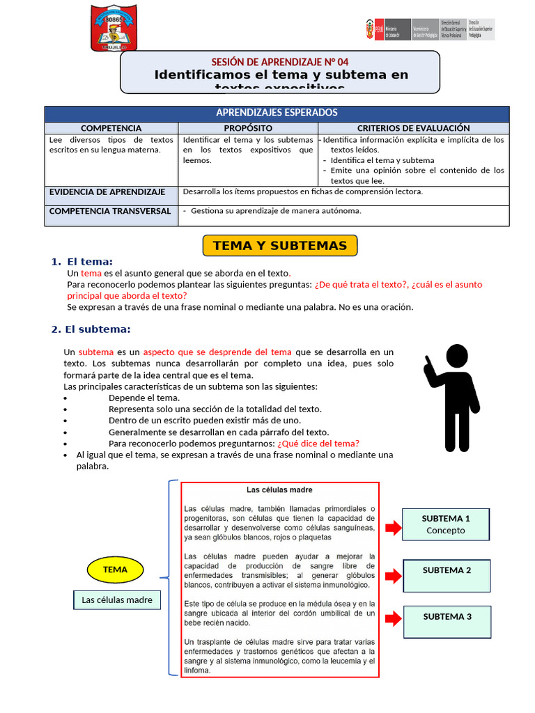 Identificación de tema y subtemas | PDF | Comprensión lectora | Zoología