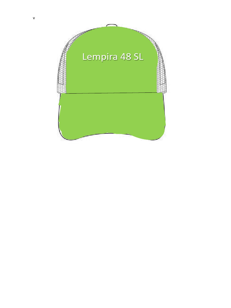 GORRA Lempira | PDF