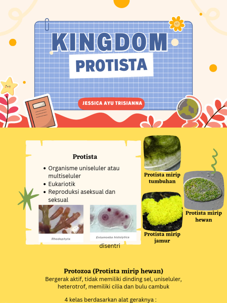 C Kingdom Protista Compressed | PDF