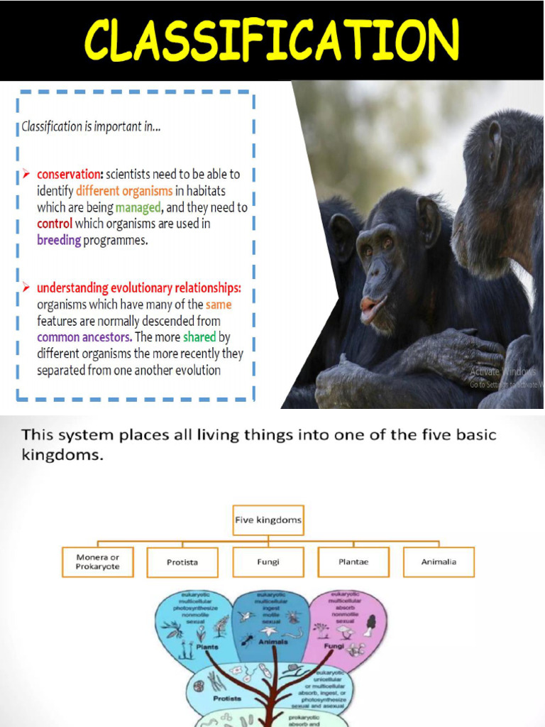 Understanding the Five Kingdoms of Life | PDF