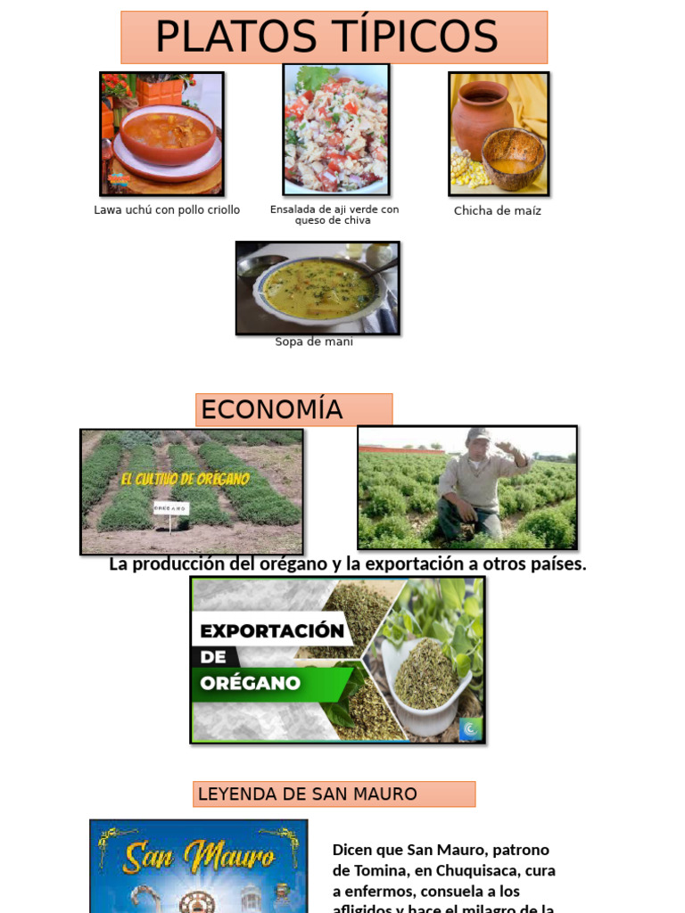 Platos Típicos | PDF