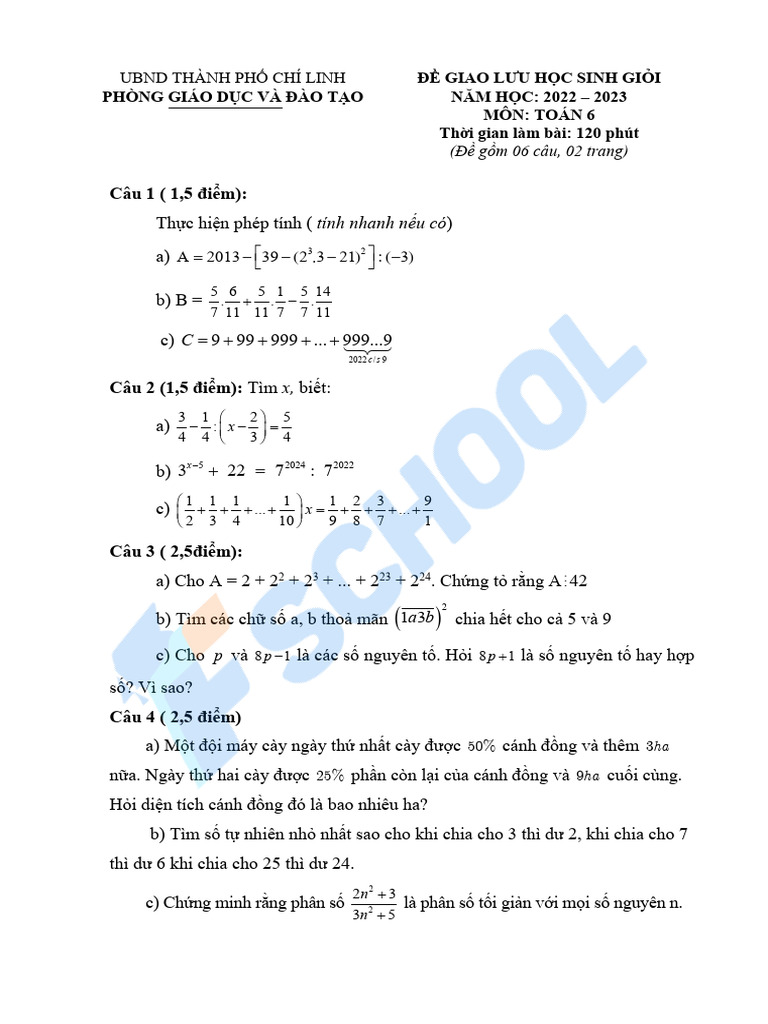 Chi_Linh_HSG_Toan_6_a566a13878 | PDF