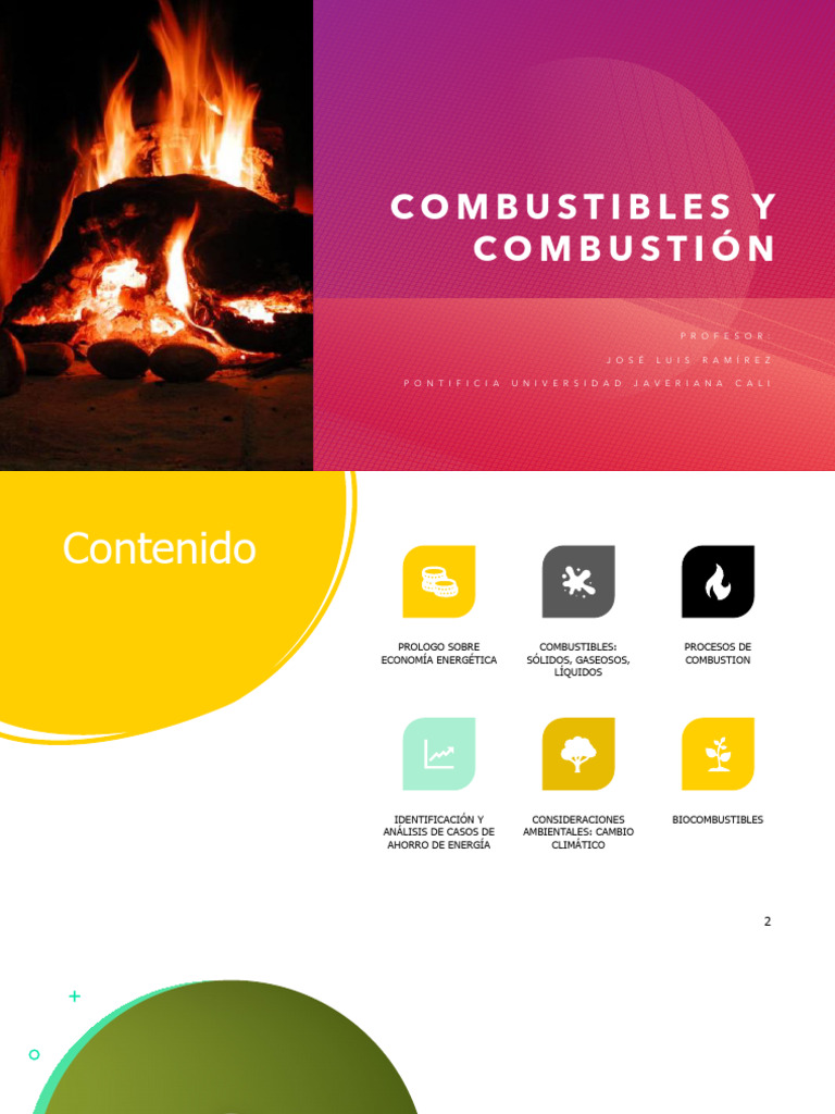 Combustibles y Economía Energética | PDF | Gas natural | Combustión