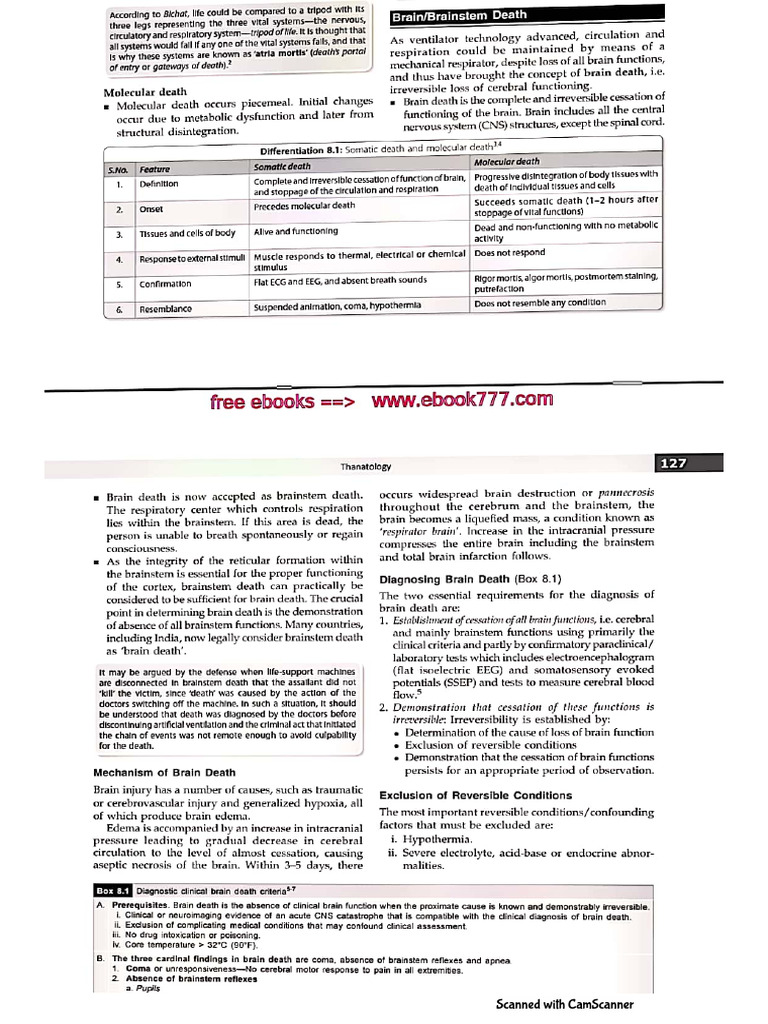 brain, brain stem death | PDF