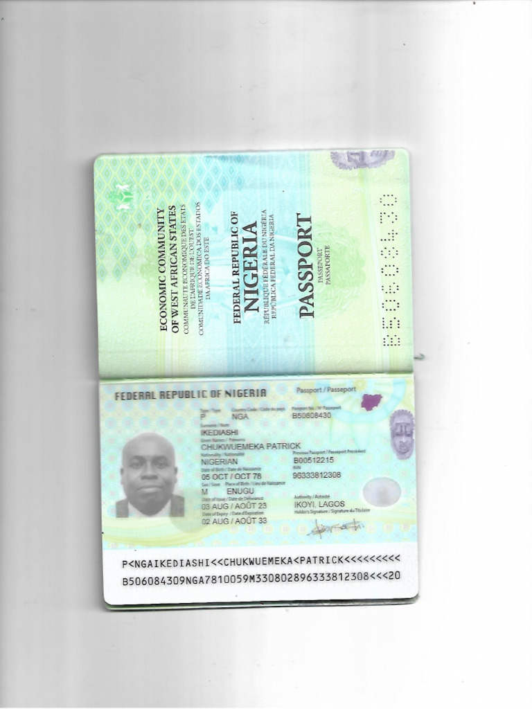 Patrick New Int Passport | PDF