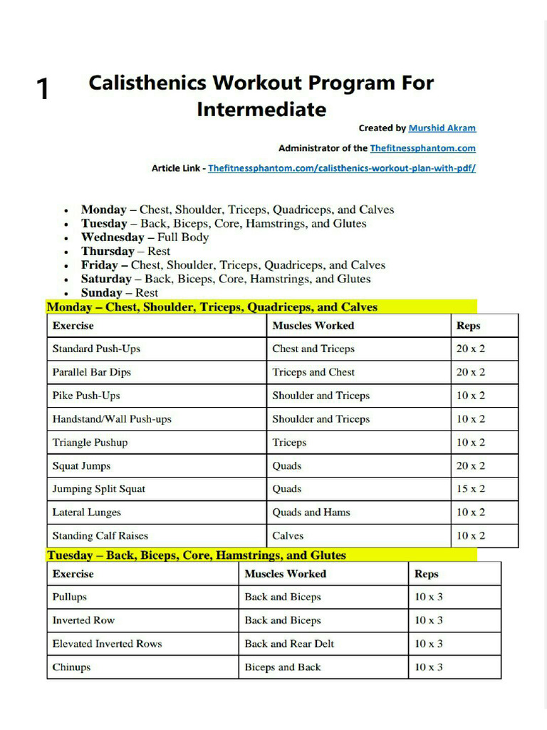 Calisthenics | PDF
