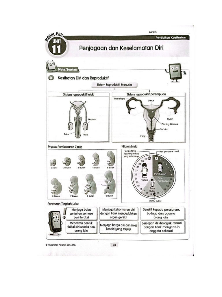 Bahan PK THN 5 Repro | PDF