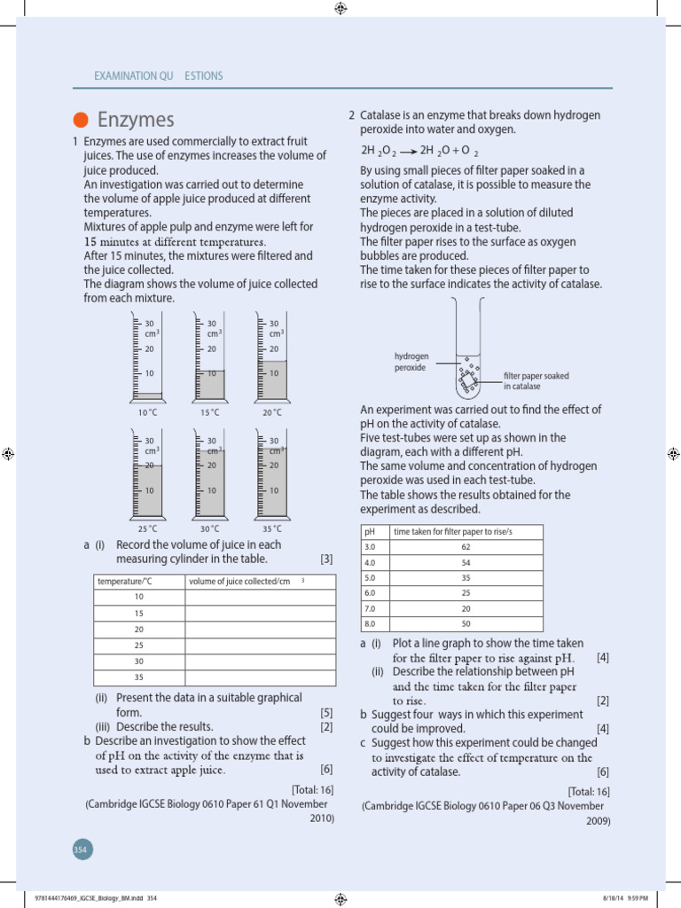Enzyme Activity and Temperature Effects | PDF | Catalase | Hydrogen ...