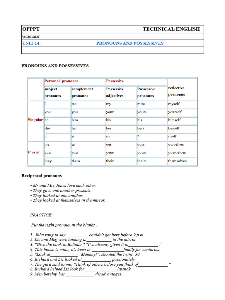 Pronouns and Possessives Practice Guide | PDF