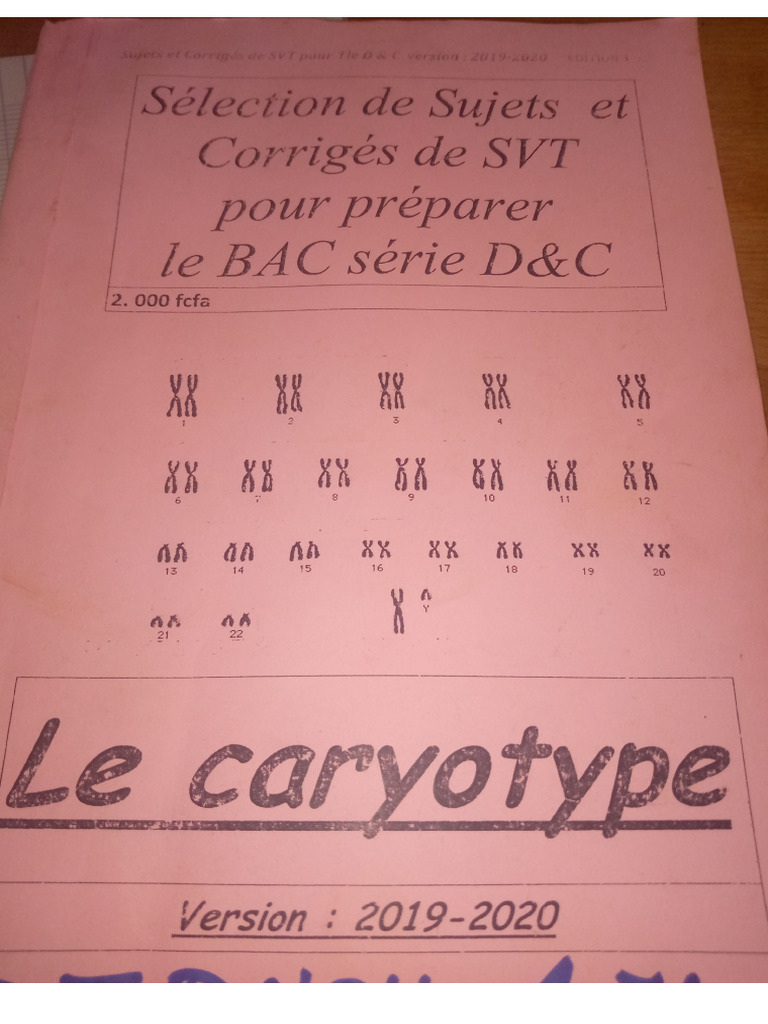 Caryotype | PDF