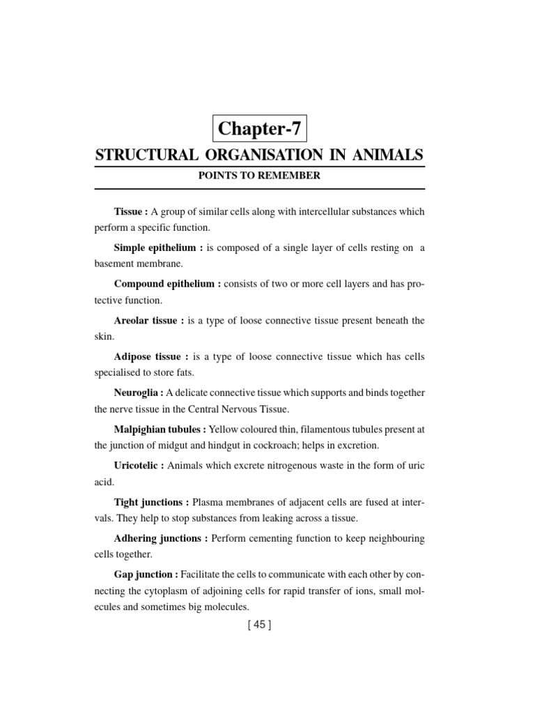 Class11 Biology Chapter 7. STRUCTURAL ORGANISATION IN ANIMALS | PDF ...
