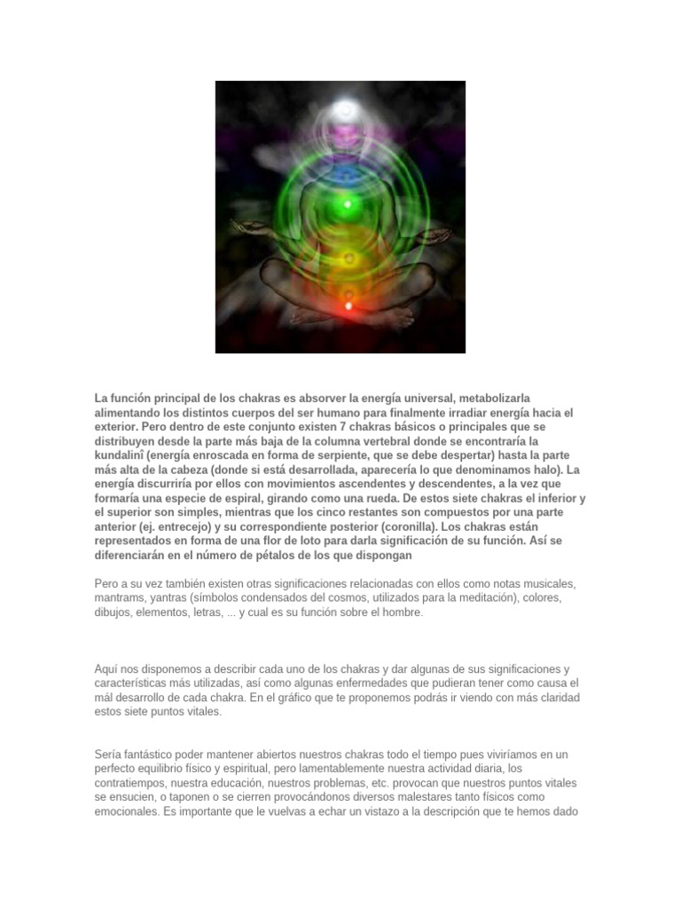 La Función Principal de Los Chakras Es Absorver La Energía Universal ...