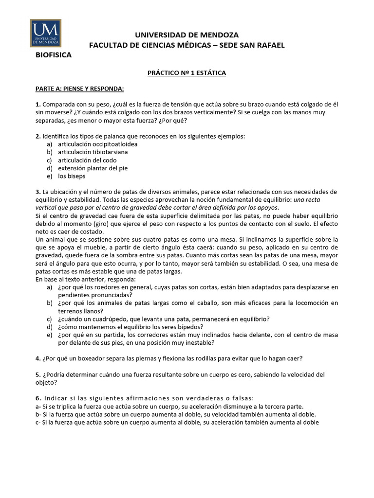 TP1 2023 | PDF | Fuerza | Mecánica