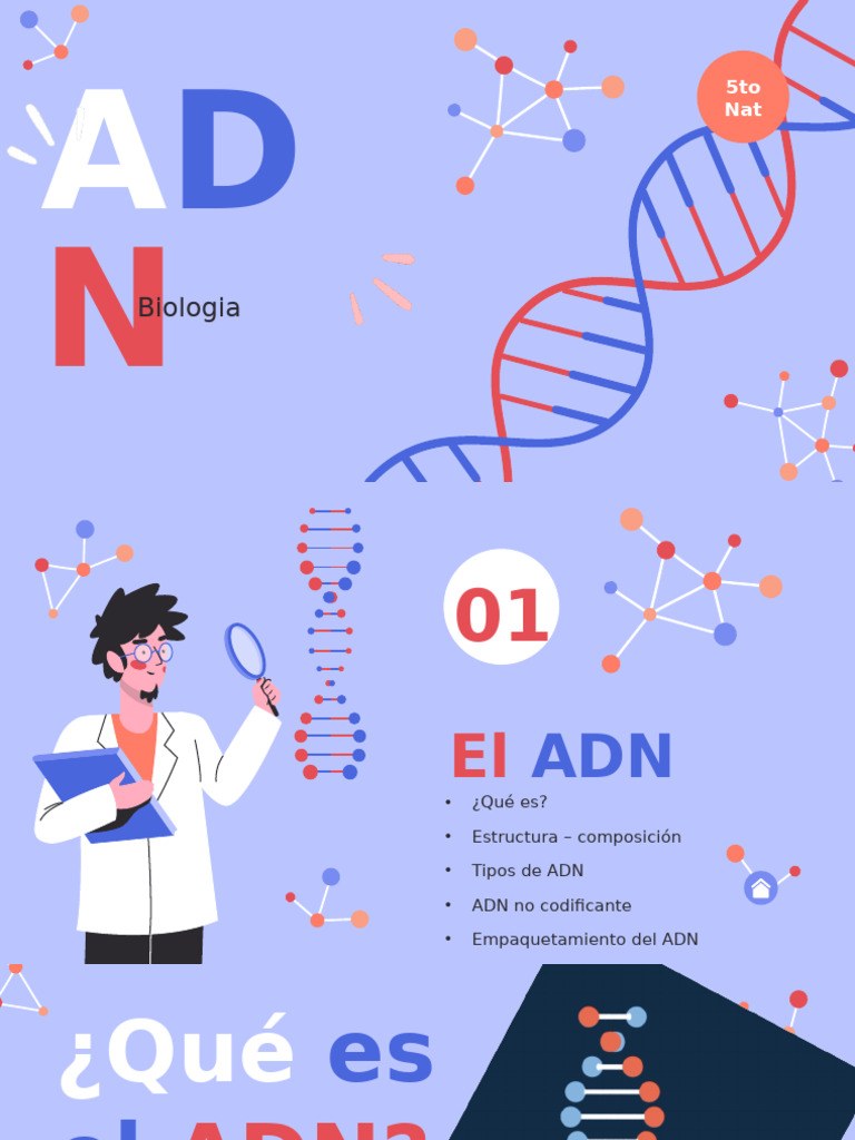 ADN - Biologia | PDF | Adn | Cromosoma