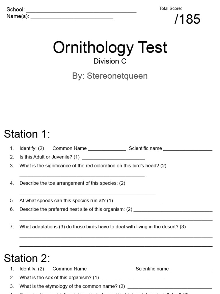 Ornithology 2020 C Ssss-Stereonetqueen Sheet1 | PDF | Birds | Predation