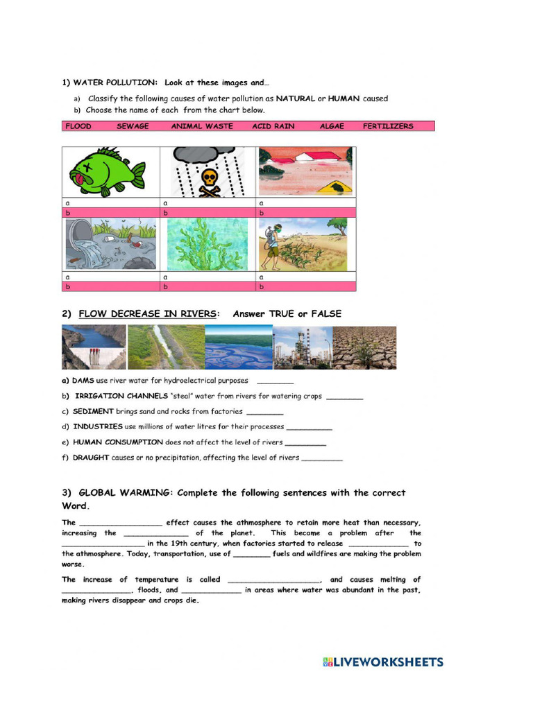 Do Now Water Pollution Activity | PDF