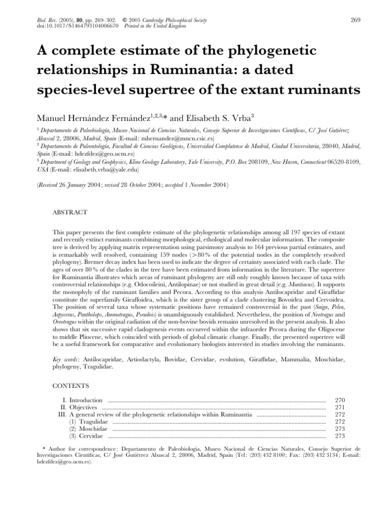 Phylogenetic Relationships in Ruminantia | PDF | Bovidae | Phylogenetics