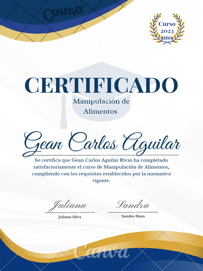 Certificado Fin de Curso Graduación Elegante Profesional Azul y Dorado ...