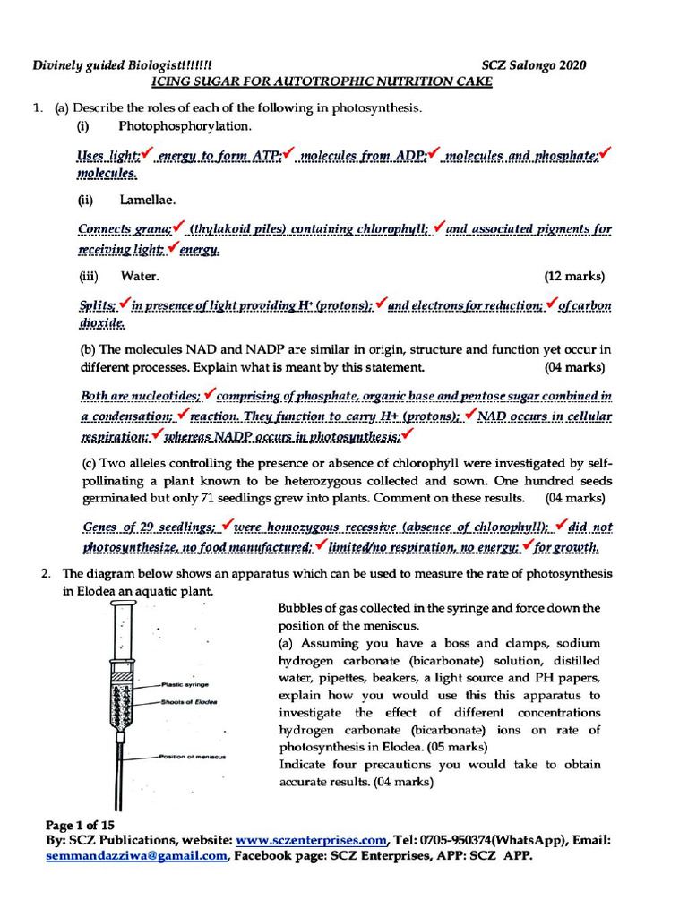 Autotrophic Icing Sugar @SCZ Enterprises | PDF
