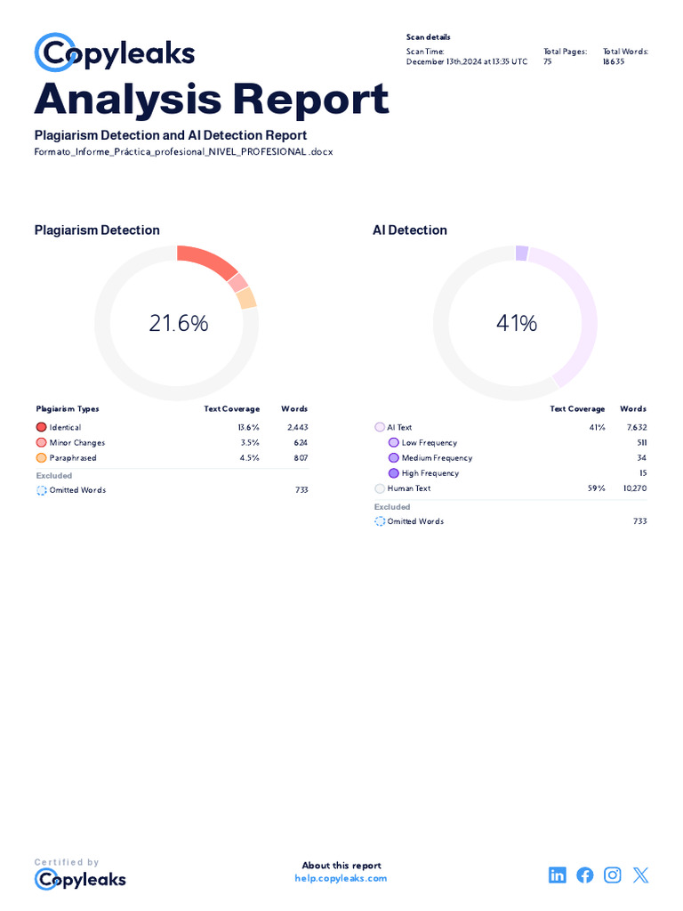 Formato - Informe - Práctica - Profesional - NIVEL - PROFESIONAL .Docx - Report | PDF