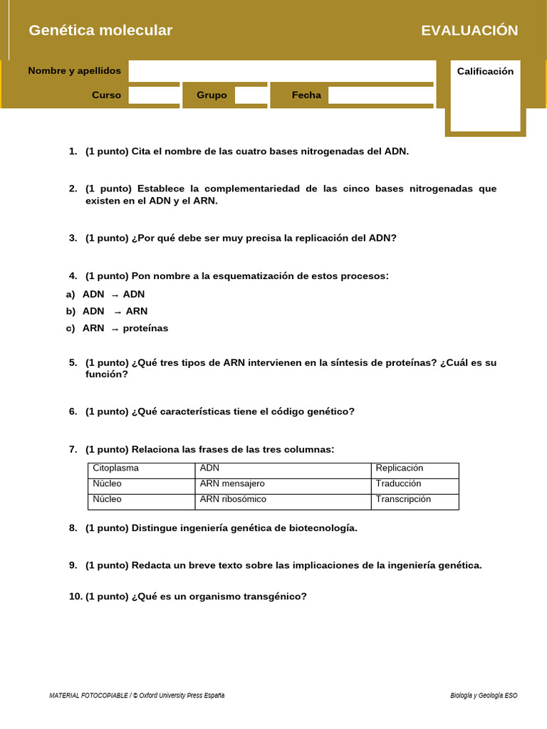 Gen Mol Eval Sol Prueba Evaluacion Niv 2 (1) | PDF | Rna | Adn