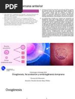 M1. Tema 4 Ciclo Ovárico Foliculogénesis | PDF | Sistema endocrino | Sistema reproductivo