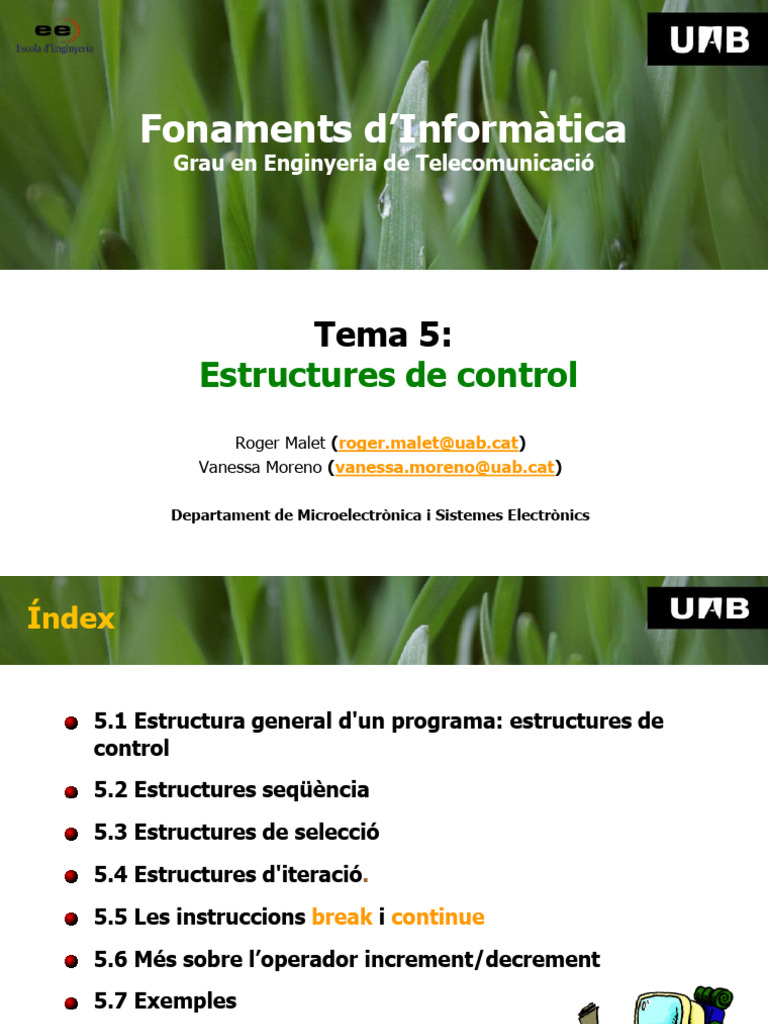 Tema5 Estructures Control C | PDF
