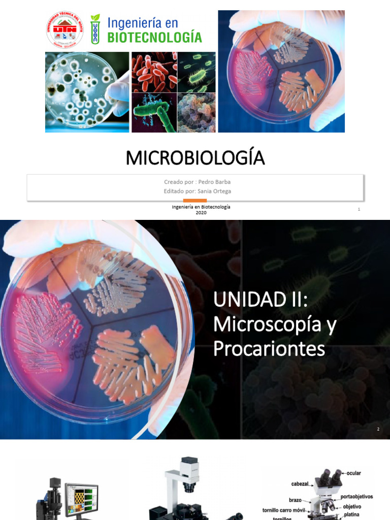 Micro Unidad II | PDF | Las bacterias | Micoplasma