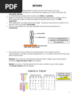 Grade 10 Mitosis Notes | PDF | Mitosis | Meiosis