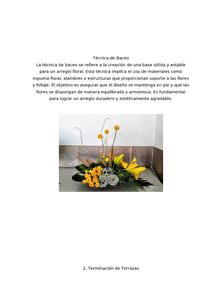 Técnica de Baceo | PDF