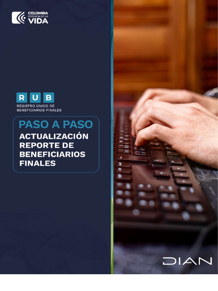 Paso A Paso Actualizacion RUB | PDF