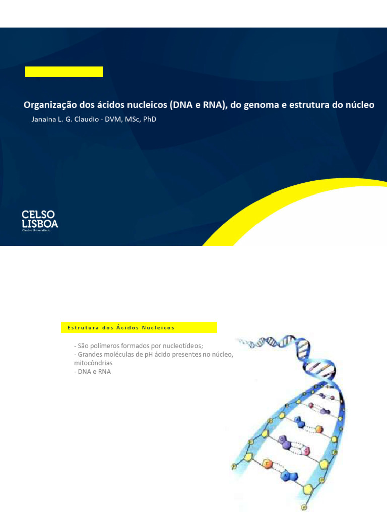 Estrutura e Função de DNA e RNA | PDF | RNA | Gene