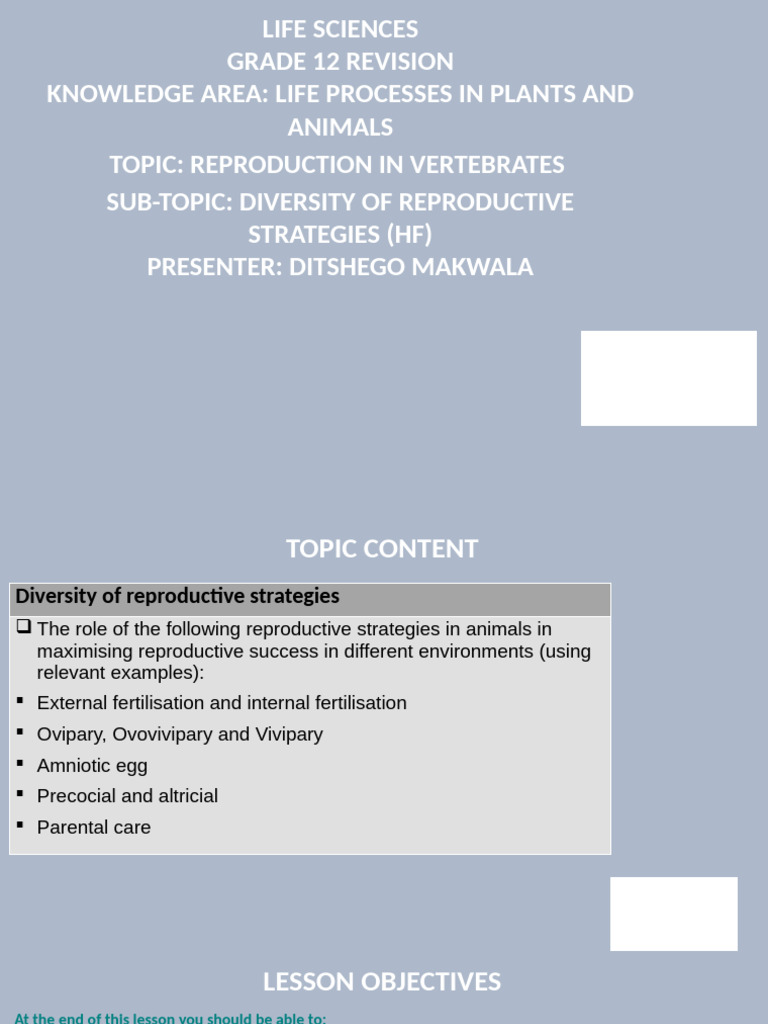 Vertebrate Reproductive Strategies Guide | PDF | Fertilisation | Egg