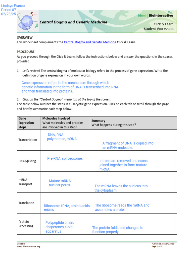 Central Dogma and Genetic Medicine | PDF | Messenger Rna | Gene Expression