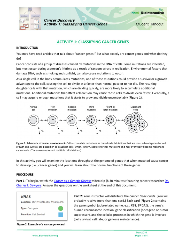 Hhmi Enrichment Activity Classifying Cancer Genes Activity Pdf