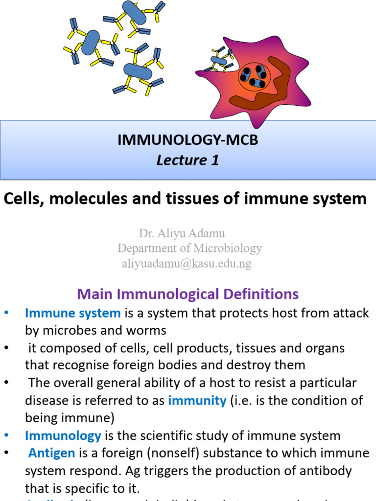 Overview of Immune System Components | PDF | Granulocyte | White Blood Cell