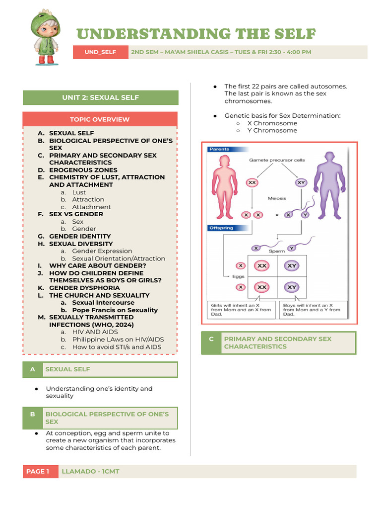 Uts Unit 2.3 Sexual Self | PDF | Gender | Gender Studies