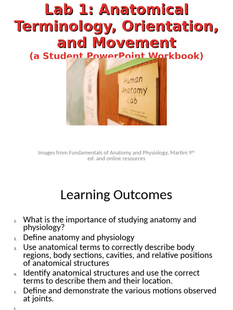 BIO-210L Lab 1 Intro To A&p Student | PDF | Anatomical Terms Of Motion | Abdomen