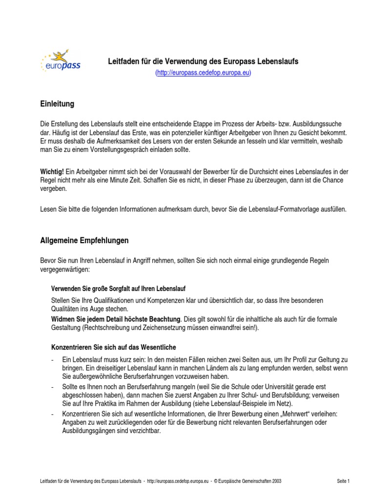 CVInstructions GERMAN | PDF