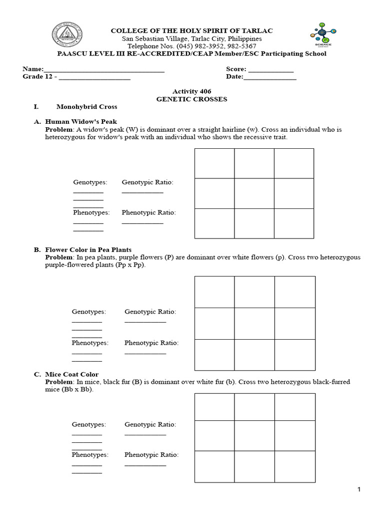 Activity 406 - Genetic Crosses | PDF | Dominance (Genetics) | Genotype