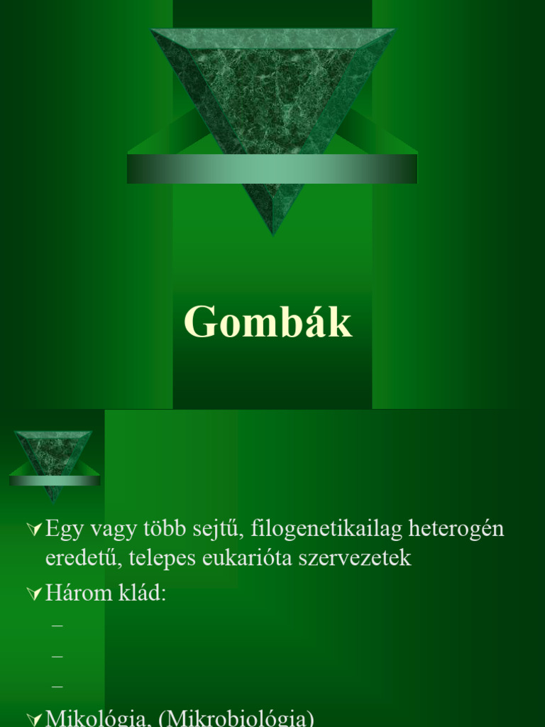 Gomba V | PDF