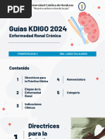 Ci - Kdigo Enfemedad Renal Crónica 2025 | PDF | Especialidades Medicas | Medicina