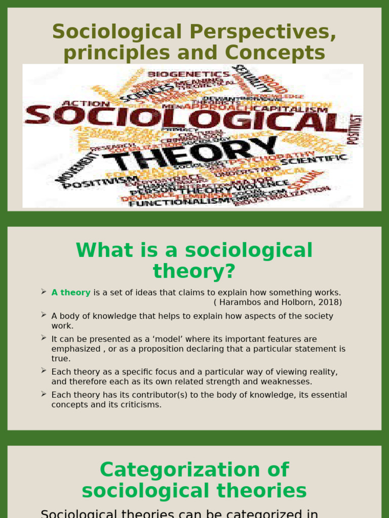 Overview of Sociological Theories | PDF | Sociology | Marxism