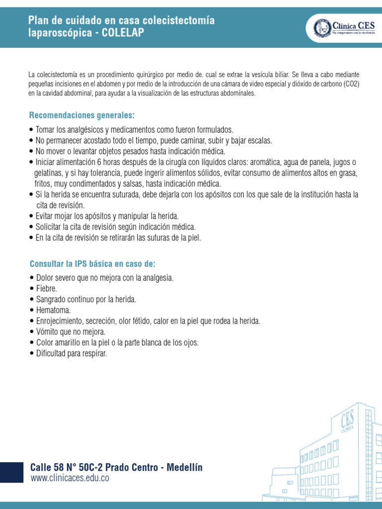 Plan de Cuidado en Casa de Colecistectomia COLELAP | PDF