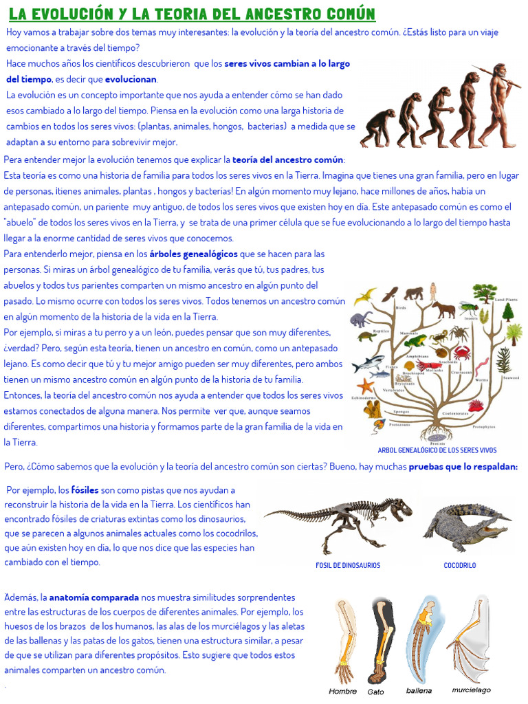 Evolución y Ancestro Común en Biología | PDF | Evolución | Dinosaurios